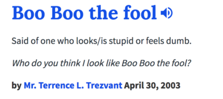 Boo Boo the Fool | Creative Bits